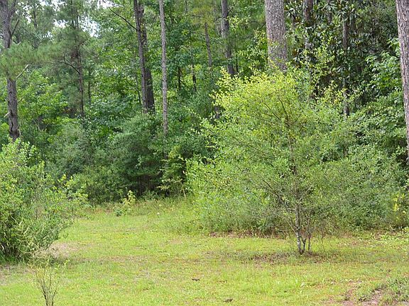 18027 NE County Road 67, Hosford, FL 32334 | Zillow