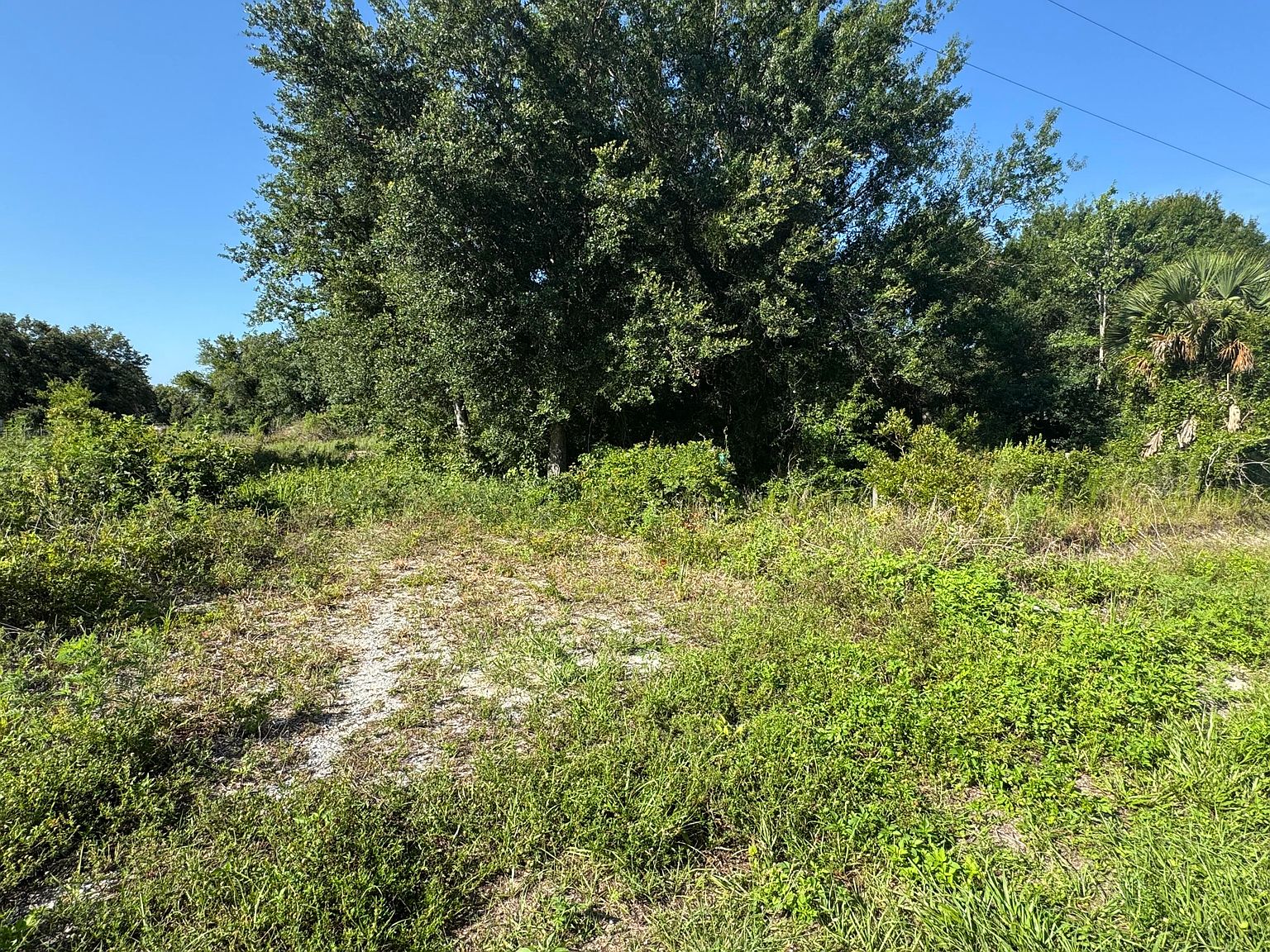 19630 NW 250th Street, Okeechobee, FL 34972 | Zillow