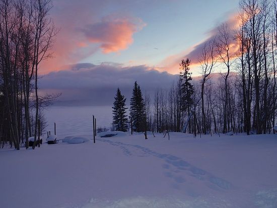 3818 Sherwood Ln, Island Park, ID 83429 | Zillow