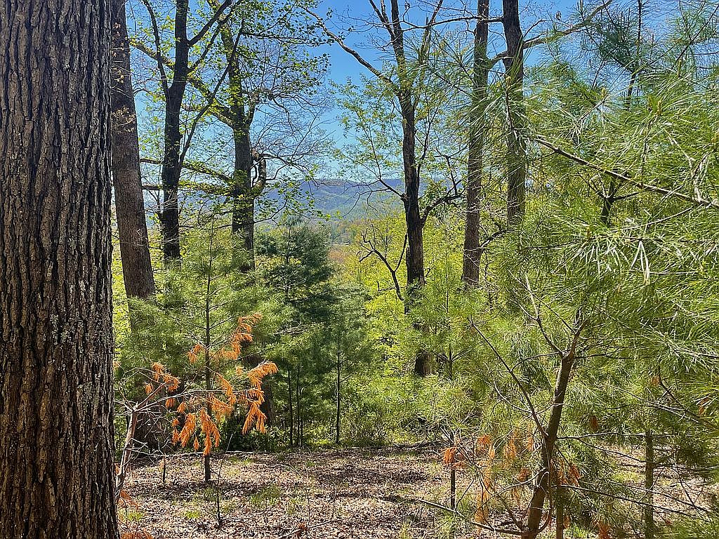 Hyder Mountain Rd, Clyde, NC 28721 | Zillow