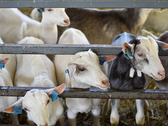 301 Vermont #12, Randolph, VT 05060 | MLS #11254422 | Zillow