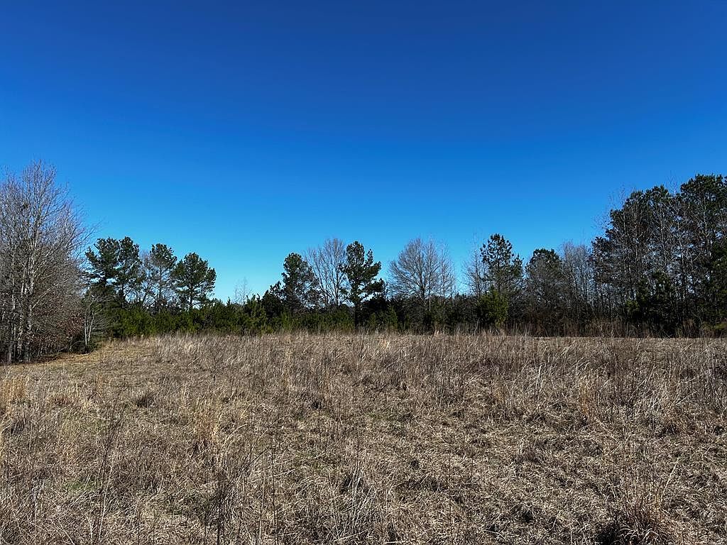 R14353 County Road 167, Long Branch, TX 75669 | MLS #12490141 | Zillow