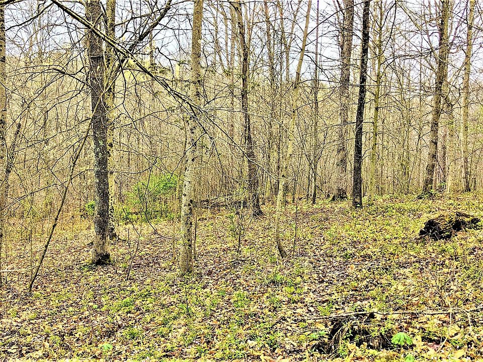 0 Oneal Rd, New Plymouth, OH 45654 | Zillow