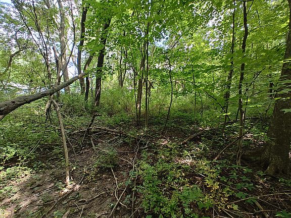 Clinton Rd, Benton Harbor, MI 49022 | MLS #24045645 | Zillow