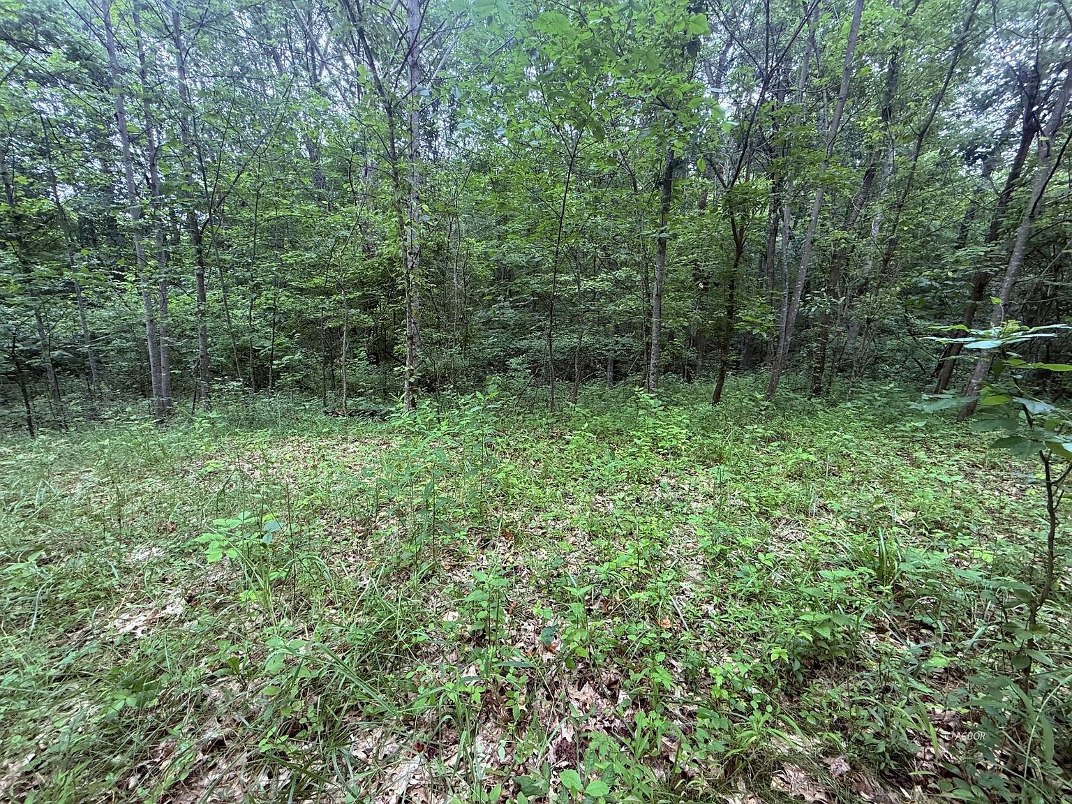 4103 S Rodehaver Rd, Guysville, OH 45735 | Zillow