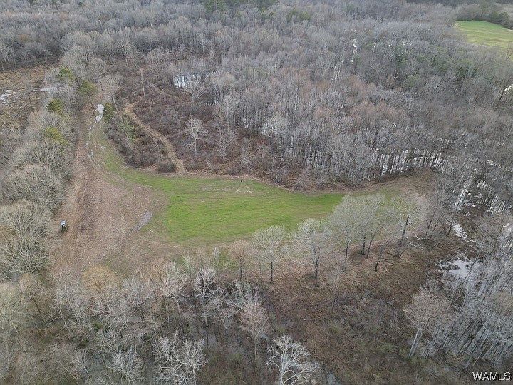 0 County Road 35, Ethelsville, AL 35461 | Zillow