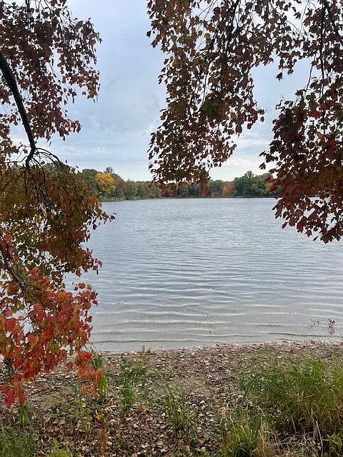 12130 M 60, Jones, MI 49061 | Zillow