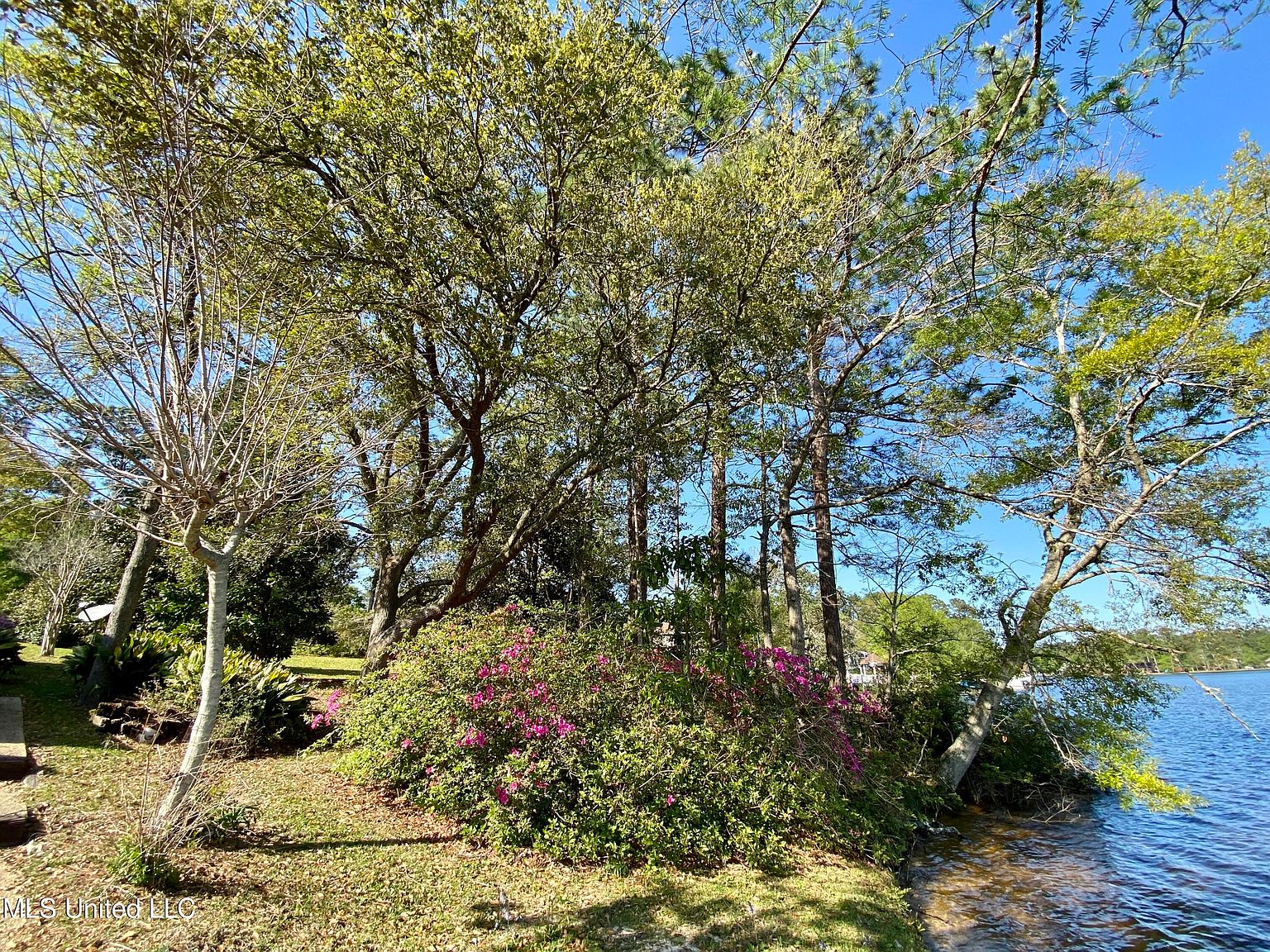 0 W Lakeshore Dr #335, Carriere, MS 39426 | Zillow