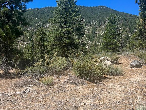 3559 Knob Point Trl, Carson City, NV 89705 | MLS #230008464 | Zillow