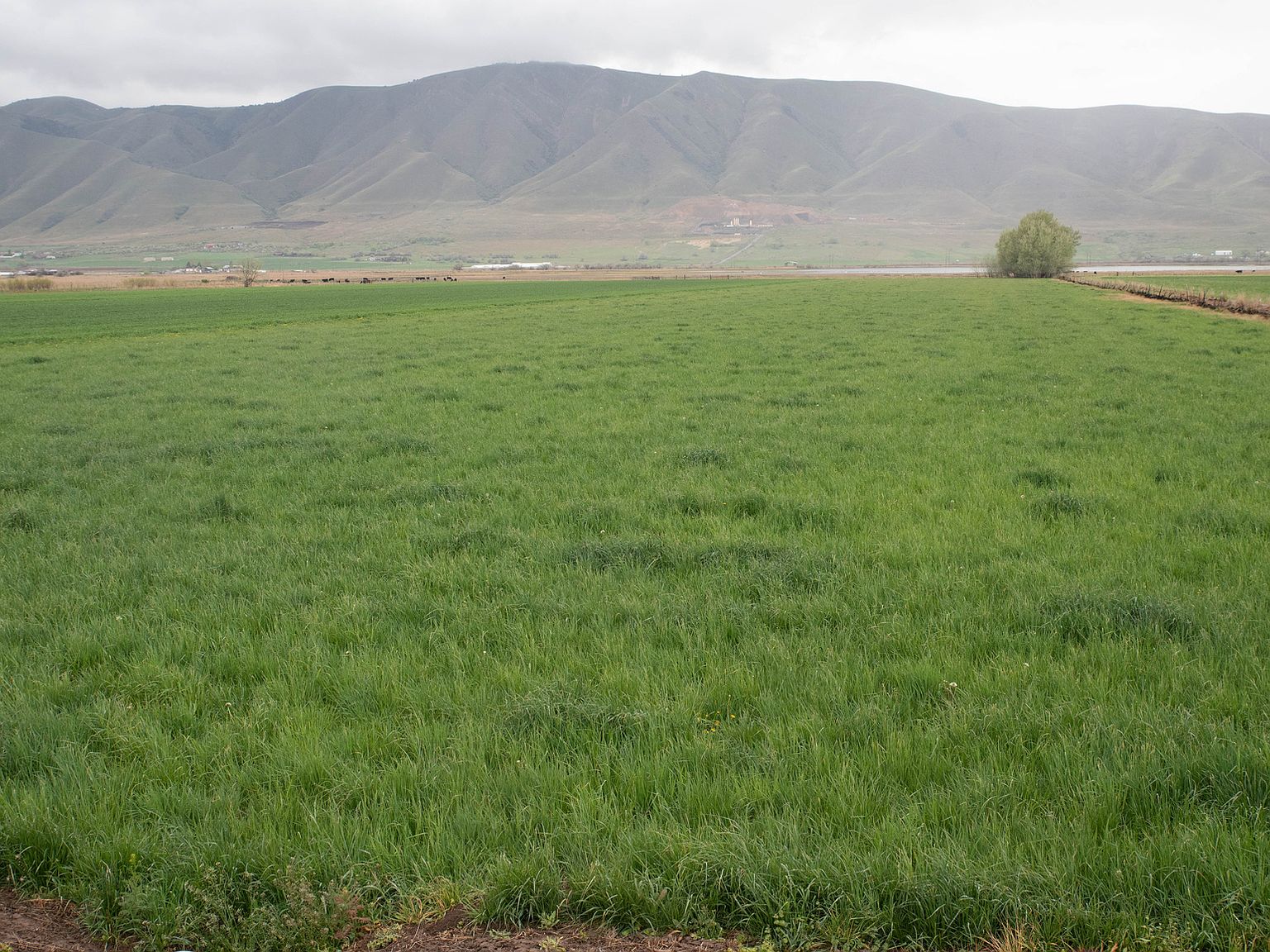 6900 S 4400 W, Spanish Fork, UT 84660 | MLS #1984058 | Zillow