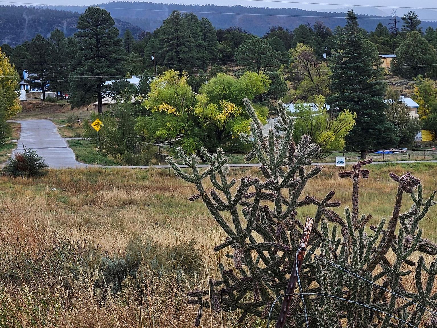 Rams Ave LOT 48, Cuba, NM 87013 | MLS #1073002 | Zillow