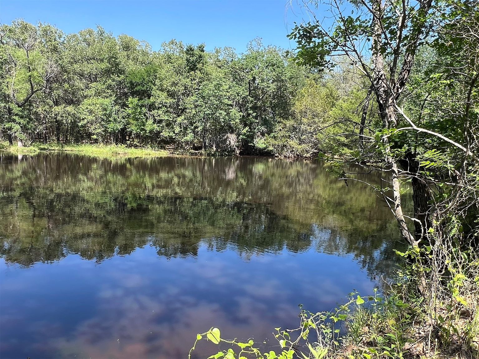 0 Fm 1204, Decatur, TX 76234 | Zillow