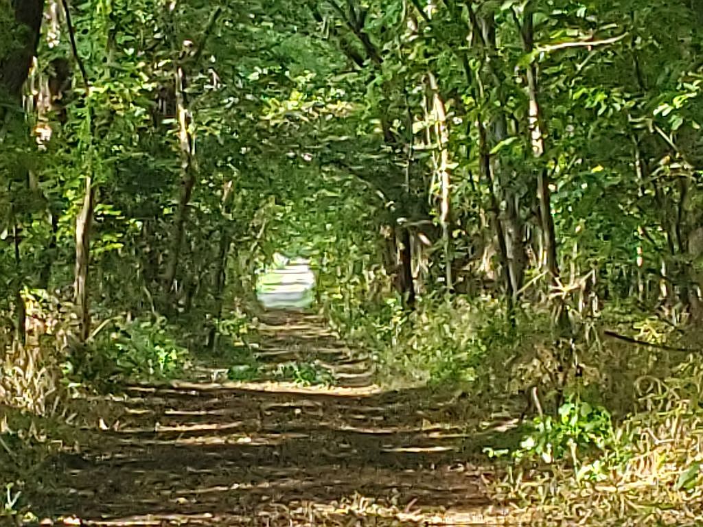 9020 N Lewis Ave, Sperry, OK 74073 | Zillow