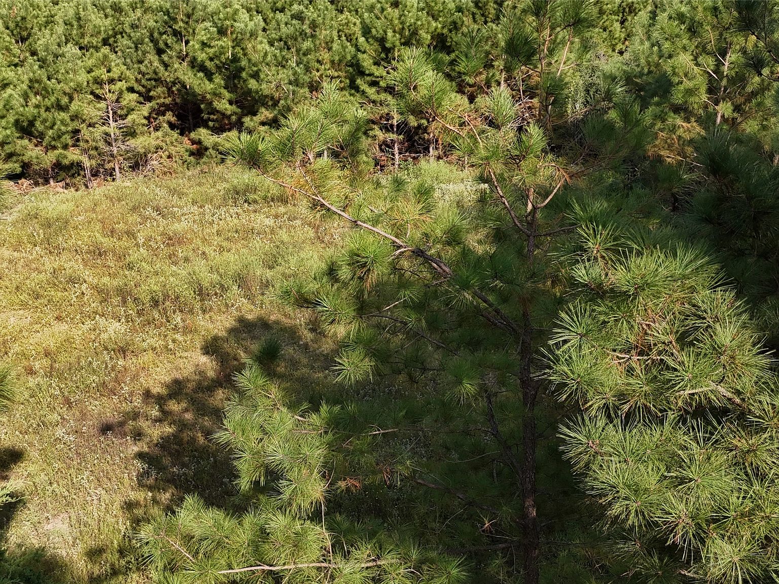 County Road 3121, Long Branch, TX 75669 | MLS #20939388 | Zillow