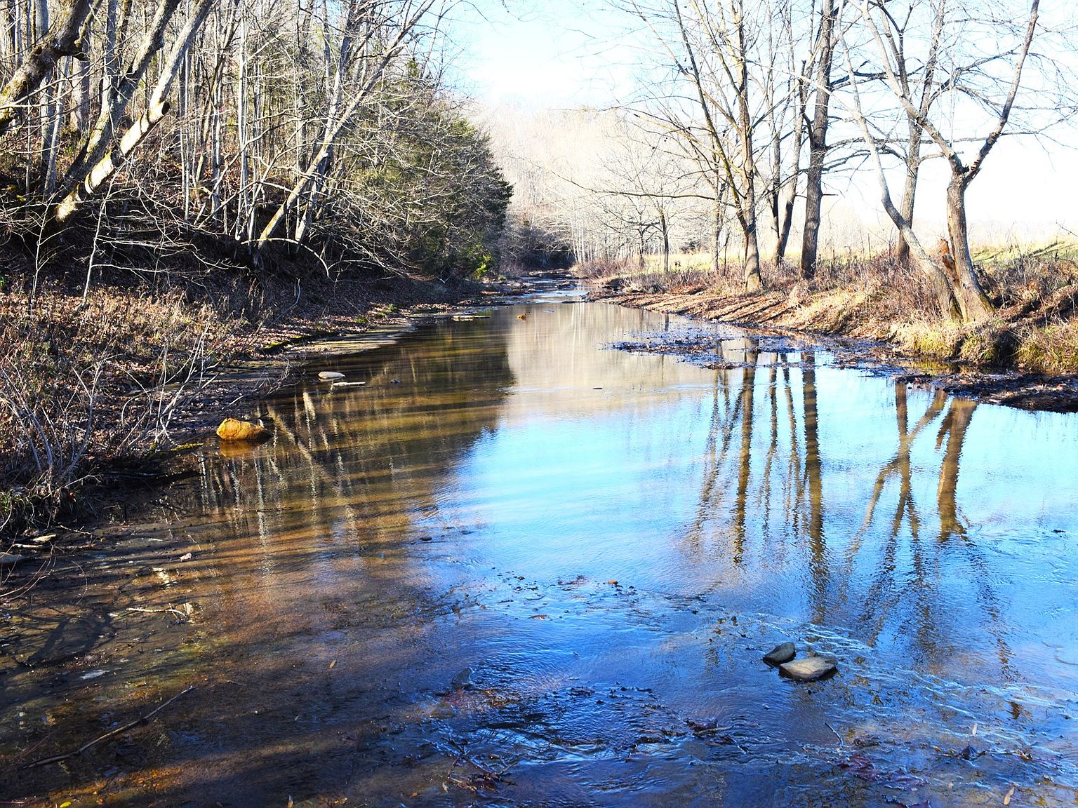 1665 Reese Hurt Rd, Edmonton, KY 42129 | Zillow