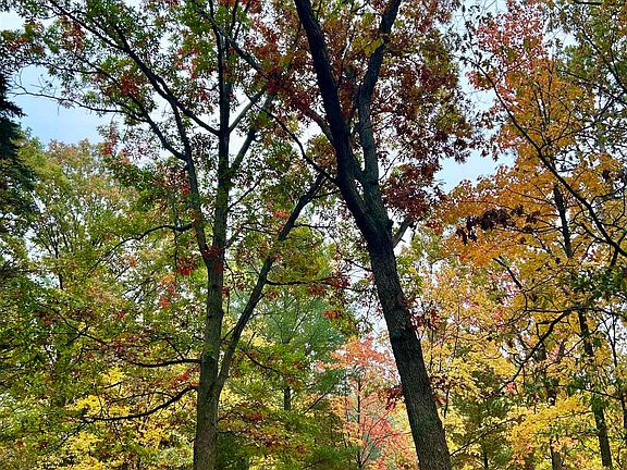 3253 Tibbets Dr, Traverse City, MI 49696 | Zillow