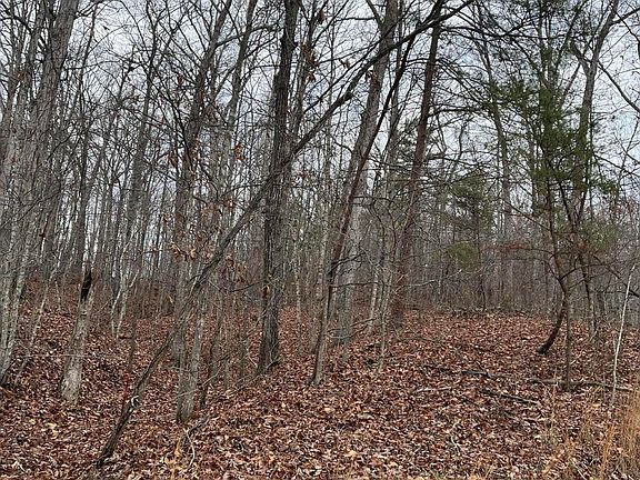 3504 E Fork Rd, Means, KY 40346 | MLS #23024184 | Zillow