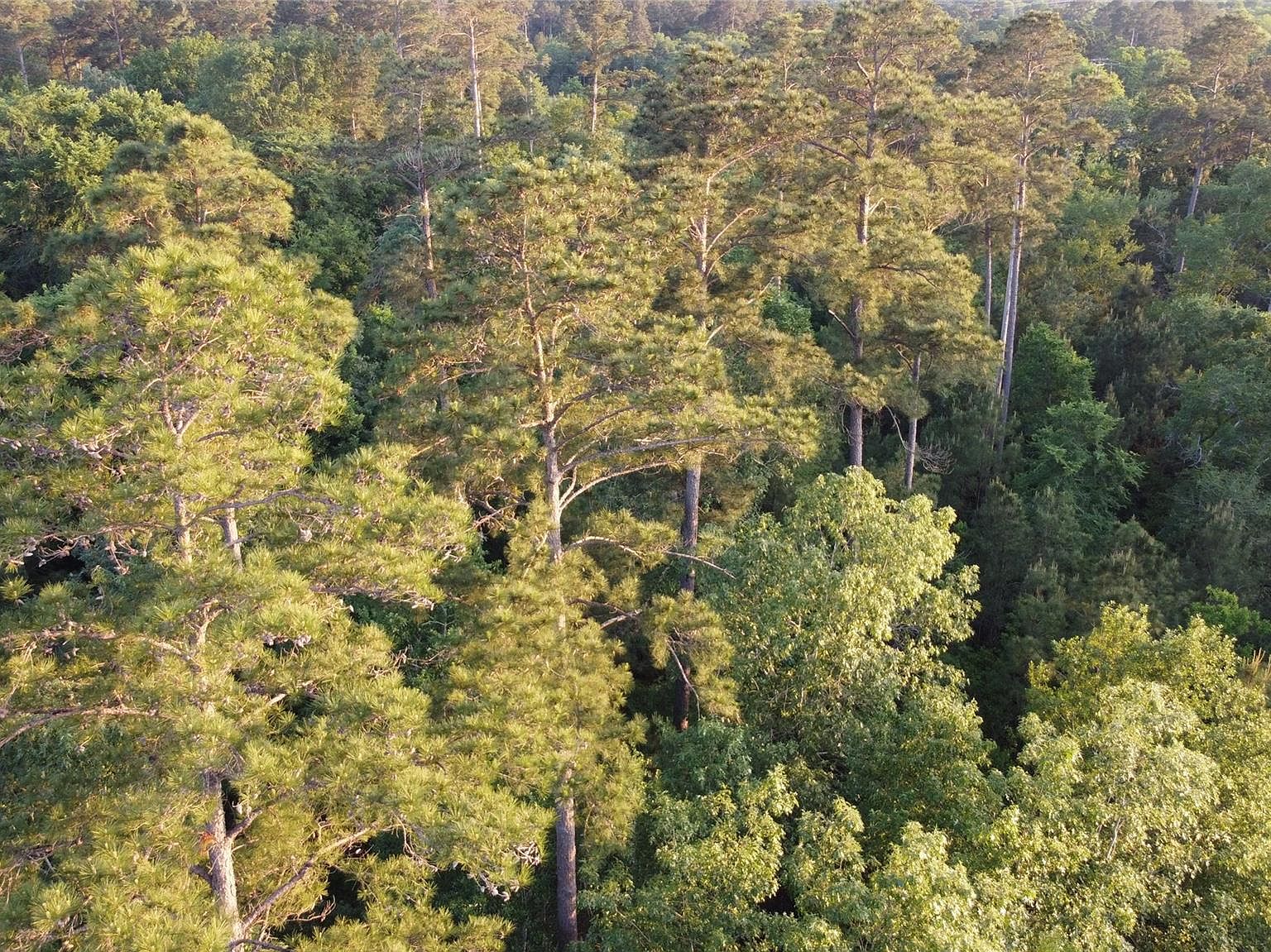 TRACT Lake Rd #B, Huntsville, TX 77320 | MLS #8112105 | Zillow