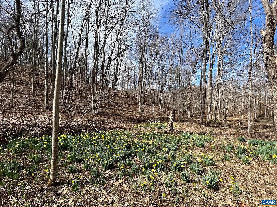 2330 Old Roberts Mountain Road Portion Of Tax Map 35 #A-8, Faber, VA ...