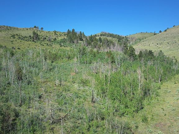 Forest Service Rd #522EB, Jelm, WY 82063 | MLS #11324773 | Zillow