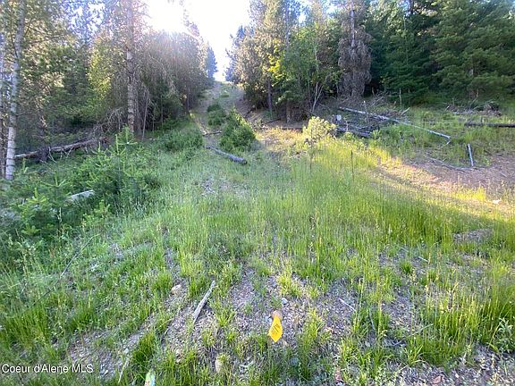 330 Lower Page Rd, Smelterville, ID 83868 | MLS #24-6156 | Zillow