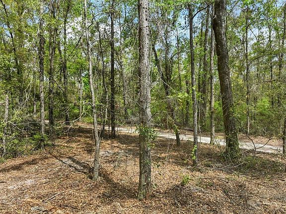 0 NW Jennings Bluff Rd, Jennings, FL 32053 | MLS #369822 | Zillow