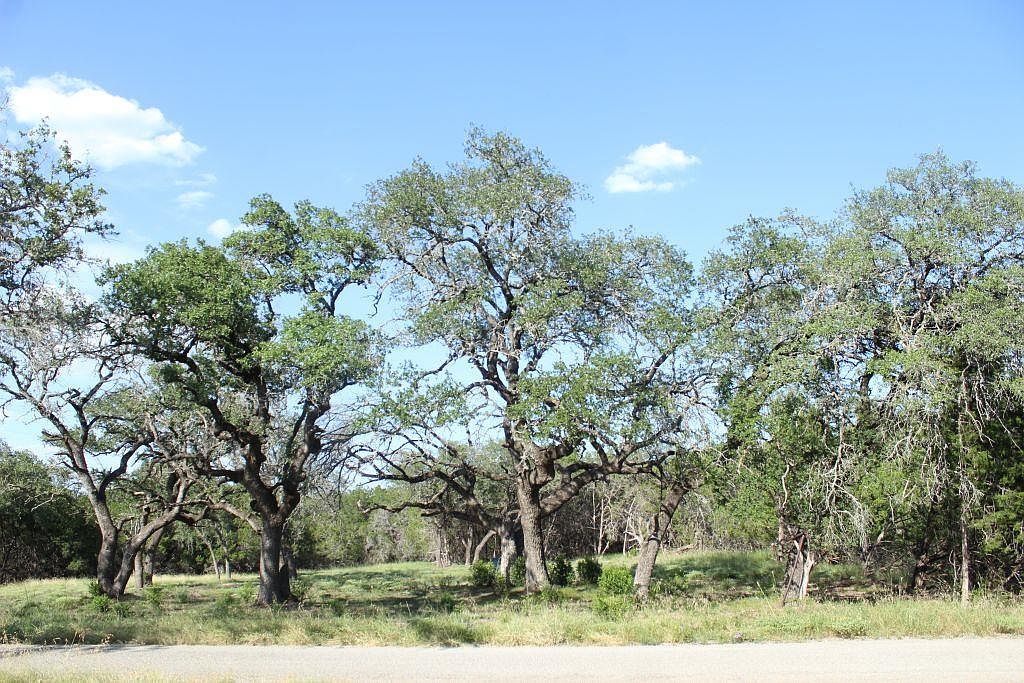 LOT 56 Travis Oaks Dr, Marble Falls, TX 78654 | MLS #1991803 | Zillow