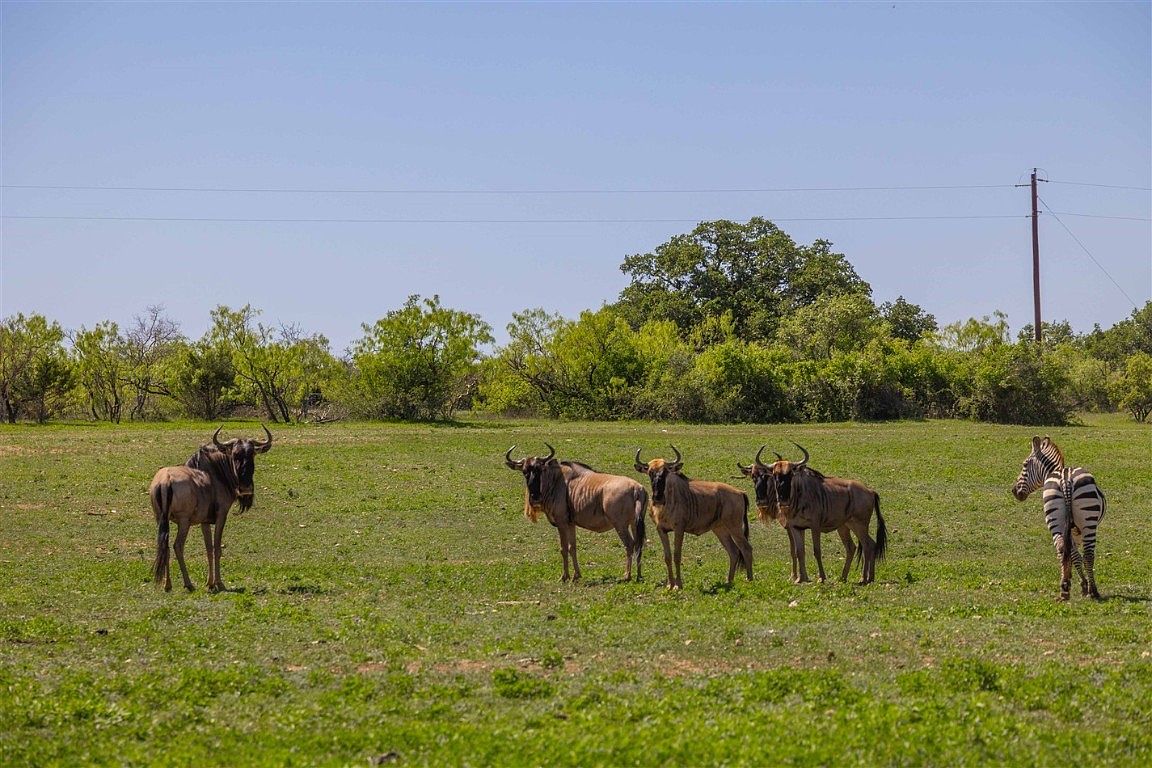569 County Road 177 #177, Sidney, TX 76474 | Zillow