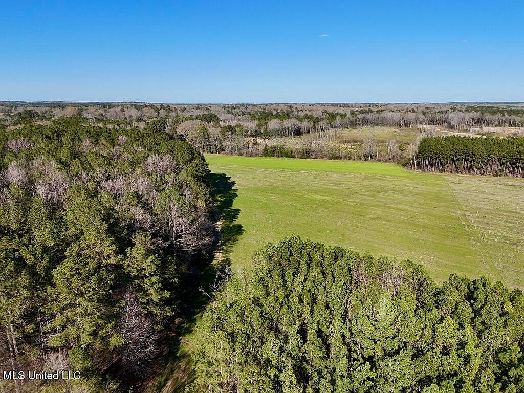 10 Stump Bridge Rd, Canton, MS 39046 | MLS #4107509 | Zillow