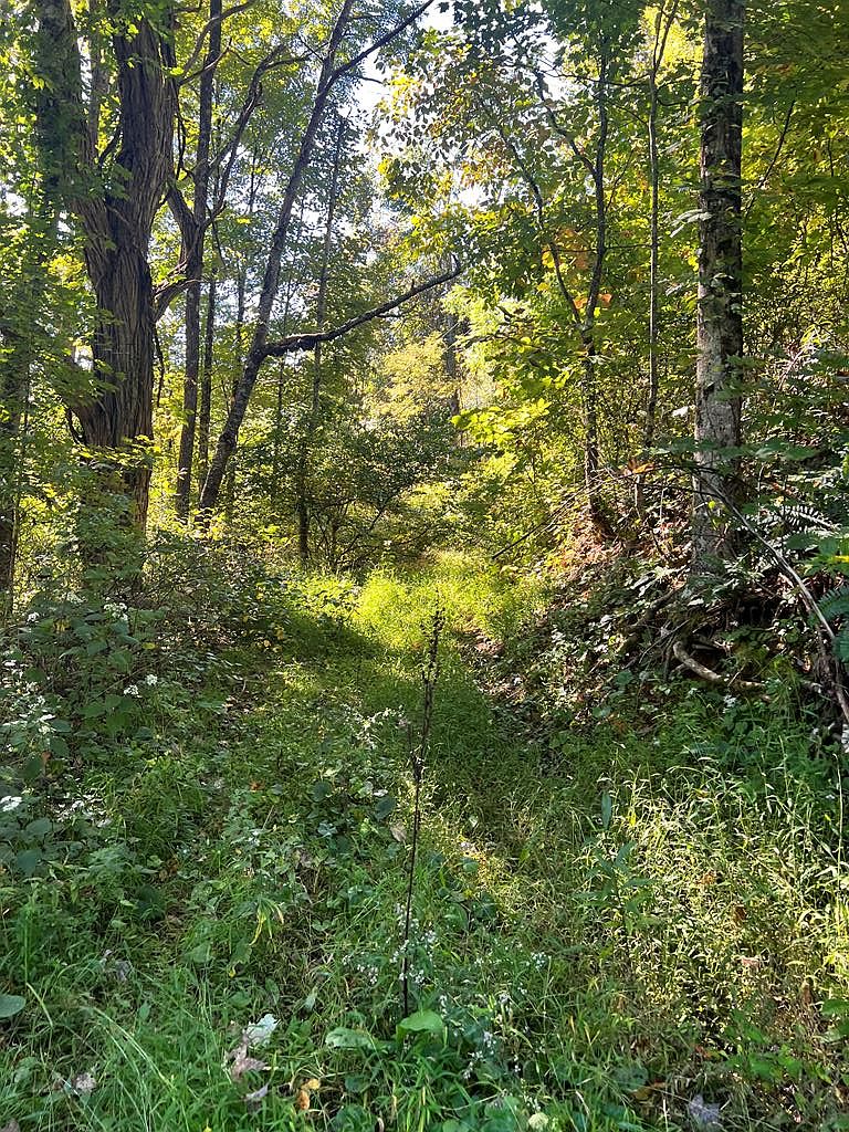 Spencer Branch Rd, Mouth Of Wilson, VA 24363 | Zillow