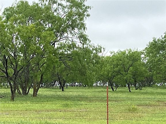 8810 W Schlee St, Priddy, TX 76870 | Zillow