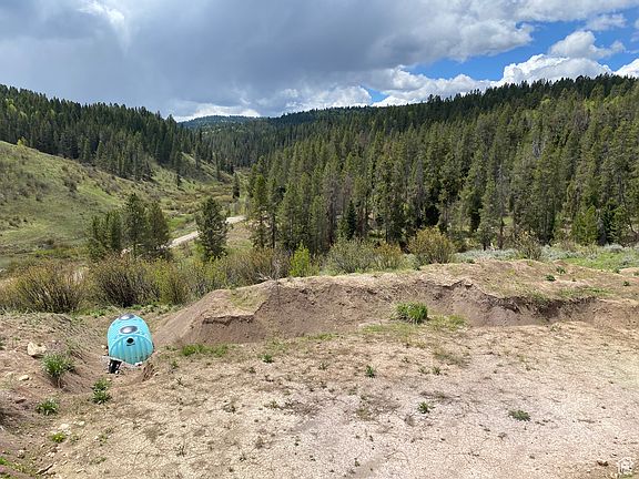 41 Grouse Loop Rd, Freedom, WY 83120 | MLS #2001845 | Zillow