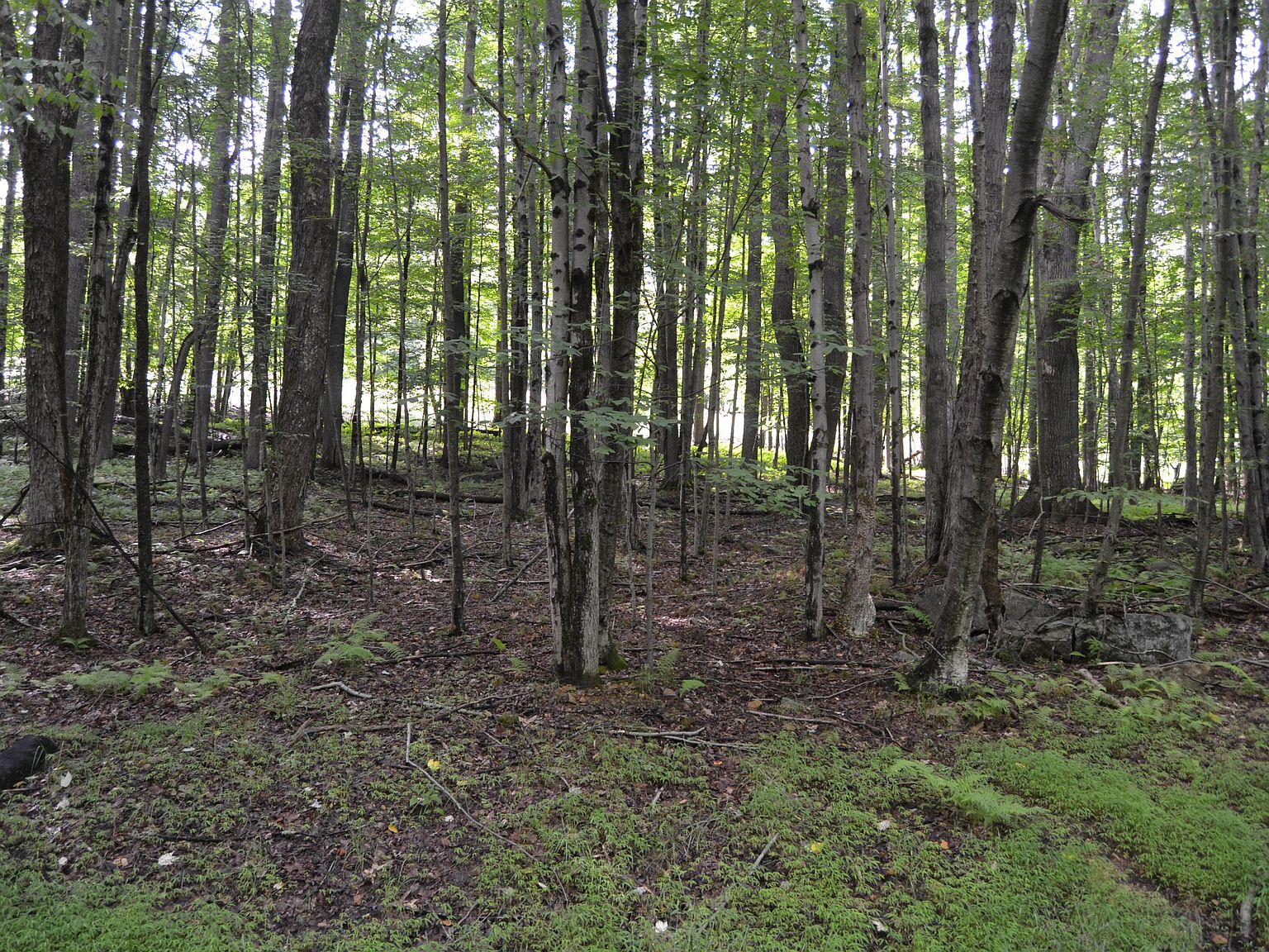 Codrington Rd LOT 580, Du Bois, PA 15801 | Zillow
