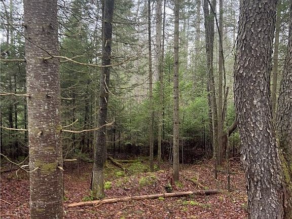 0 Buck Lake Rd #21, Boonville, NY 13309 | MLS #S1509331 | Zillow