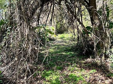 1299 Alec Hendry Rd, Wauchula, FL 33873 | Zillow