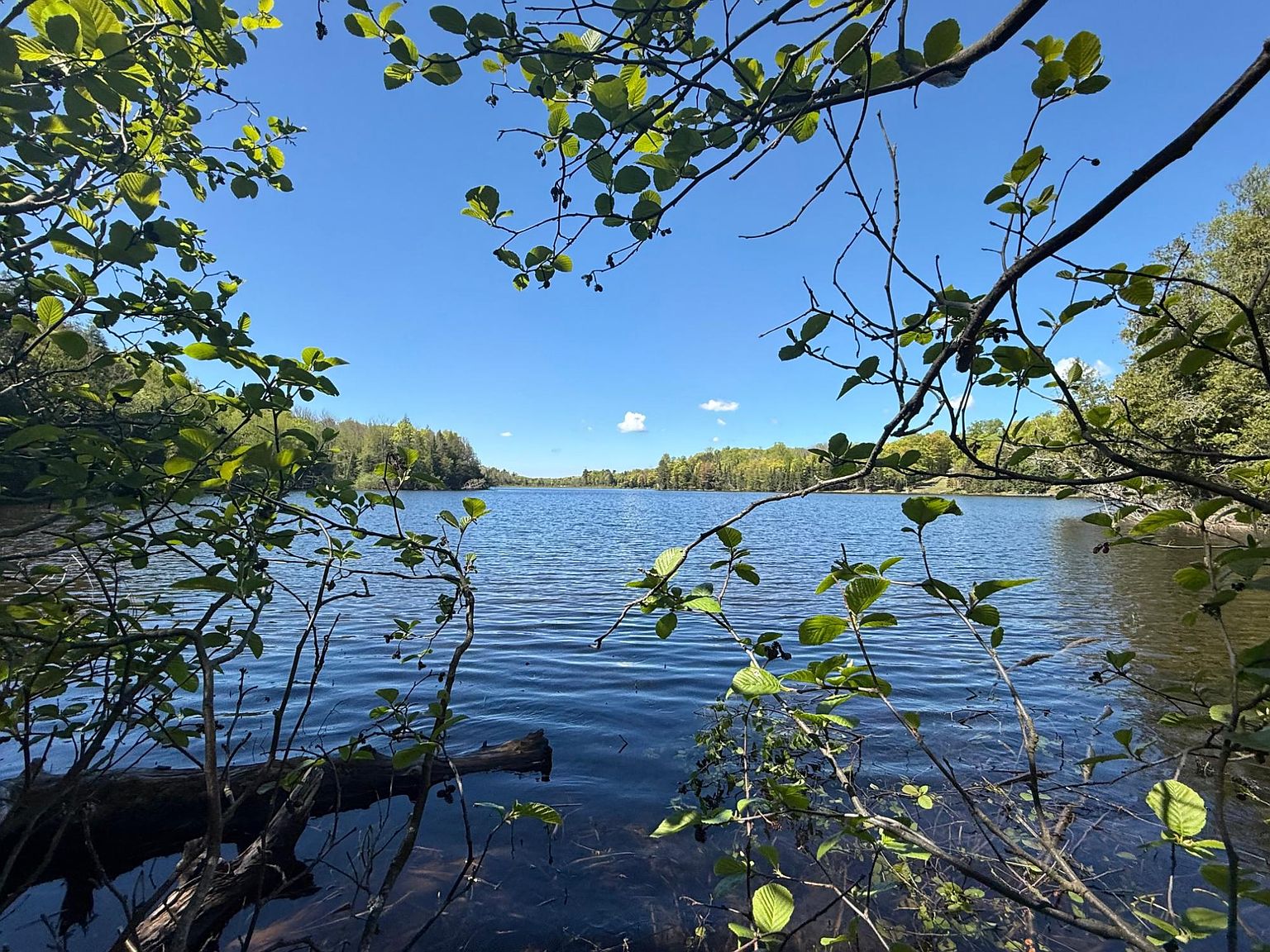 LOT 8 Pomeroy Lake Rd, Marenisco, MI 49947 | MLS #212263 | Zillow