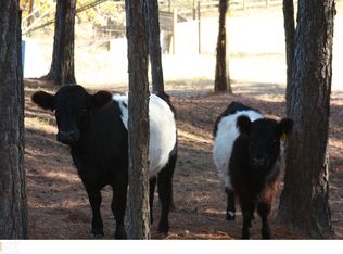 9240 River Rd, Fortson, GA 31808 | MLS #8649004 | Zillow