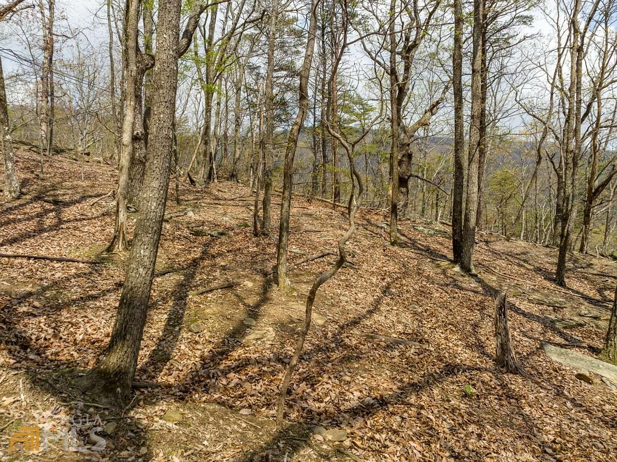 0 Little Hendricks Point, Jasper, GA 30143 | Zillow