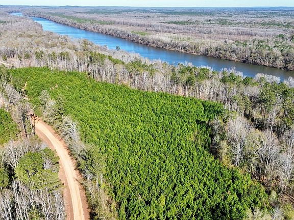 0 County Road 35 W, Lower Peach Tree, AL 36751 | MLS #11407192 | Zillow