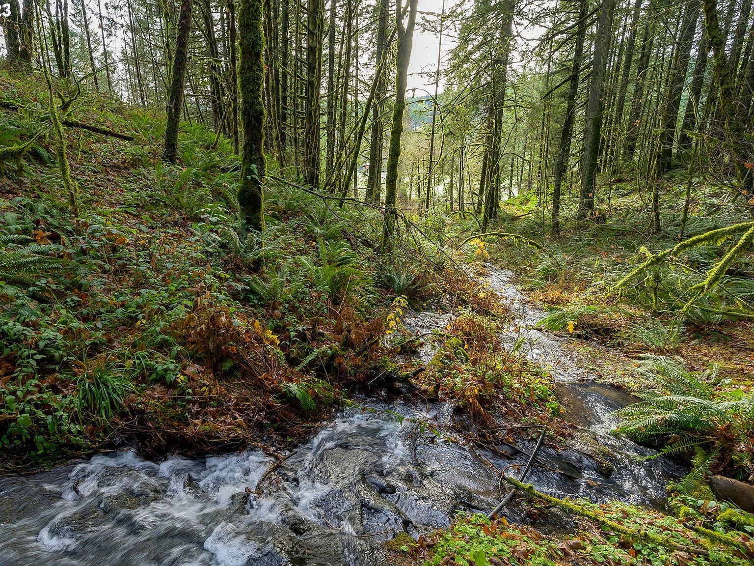 16600 NW Panther Creek Rd, Carlton, OR 97111 | MLS #23281221 | Zillow