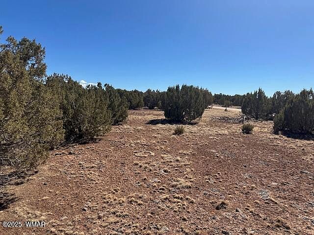 30 County Road 8051 Rd, Concho, AZ 85924 | MLS #255098 | Zillow