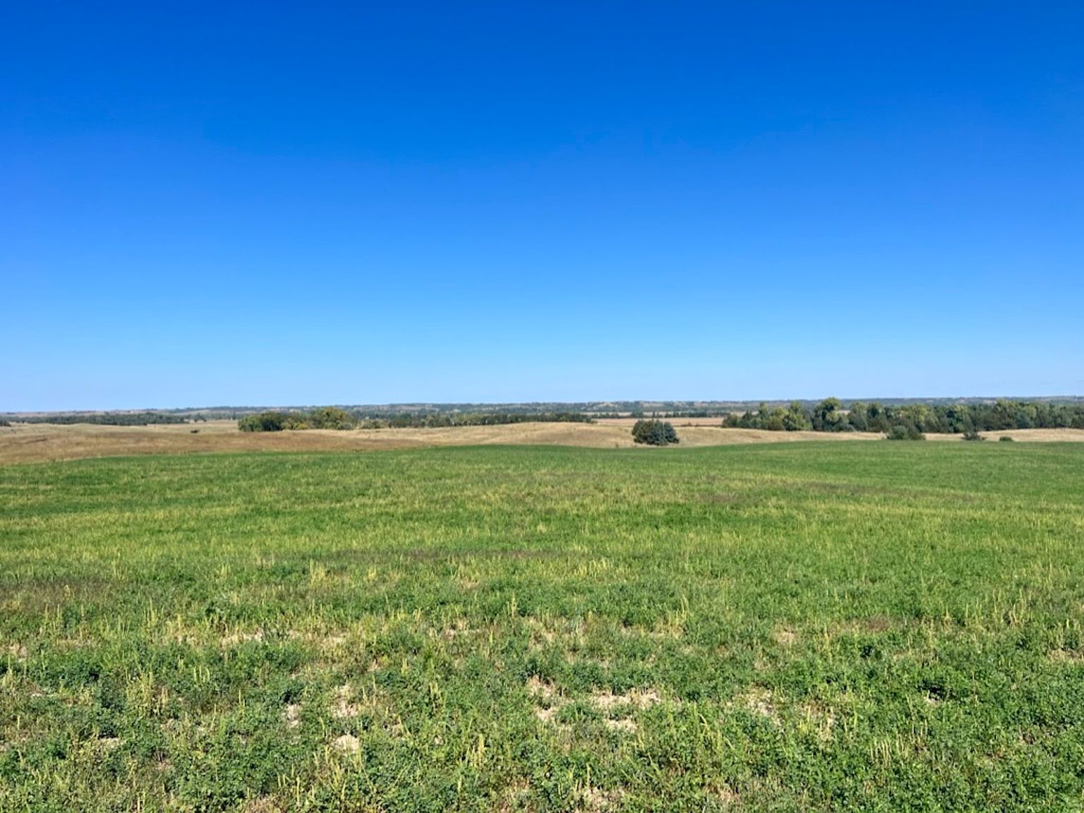 Arthur Rd LOT WP001, Palmer, NE 68864 | Zillow