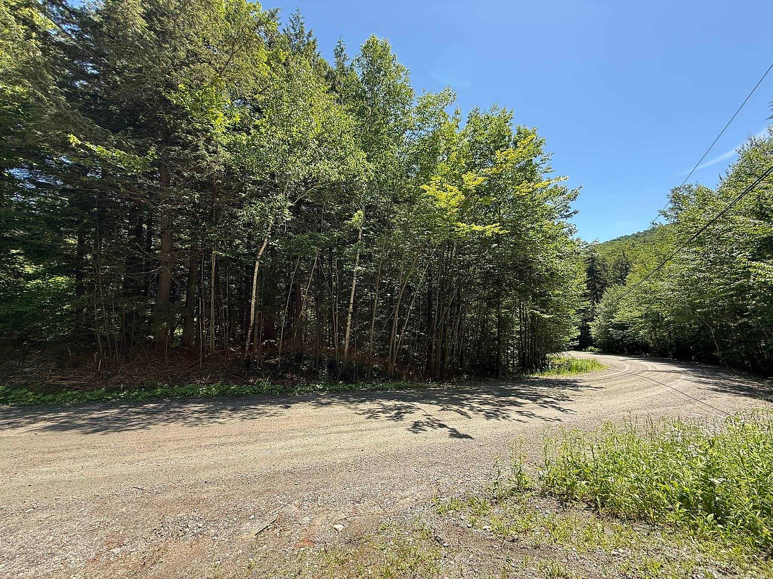 58 Boardman Loop, West Wardsboro, VT 05360 | Zillow