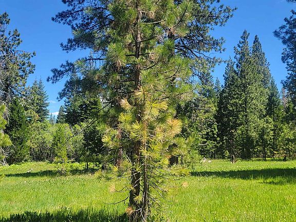 115 Mule Deer Dr, Weed, CA 96094 | Zillow