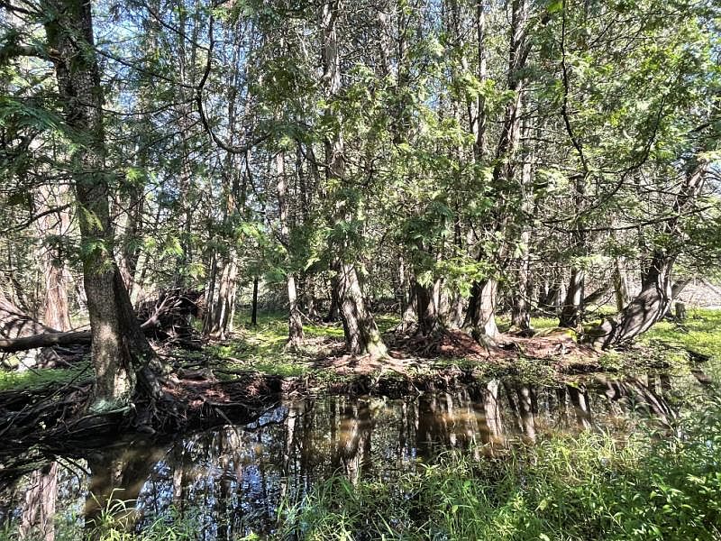 5355 W Hubbard Lake Trl, Hubbard Lake, MI 49747 | Zillow