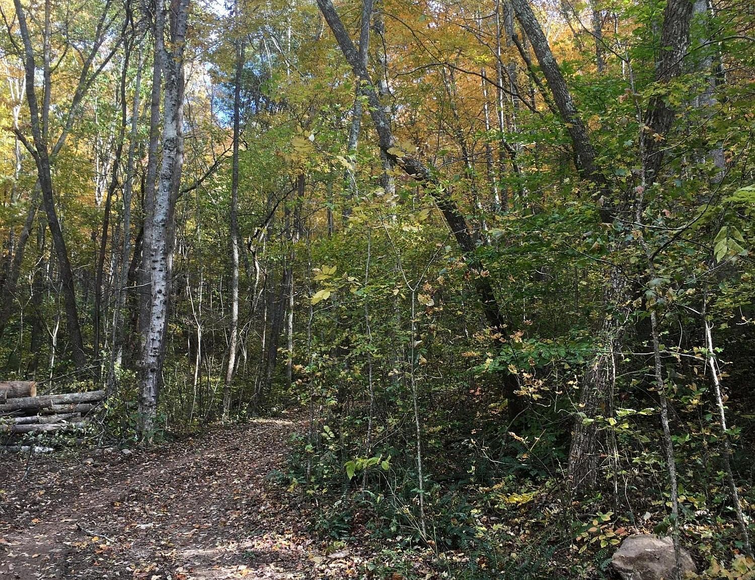 367 Towee Falls Rd, Tellico Plains, TN 37385 | Zillow