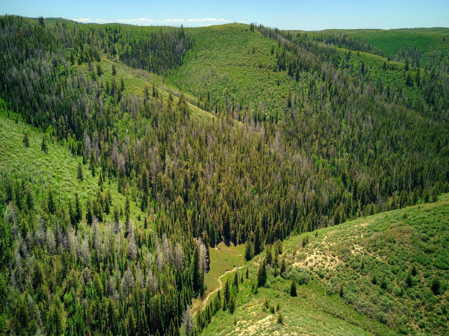 1273 County Road 5, Rifle, CO 81650 | MLS #11274710 | Zillow