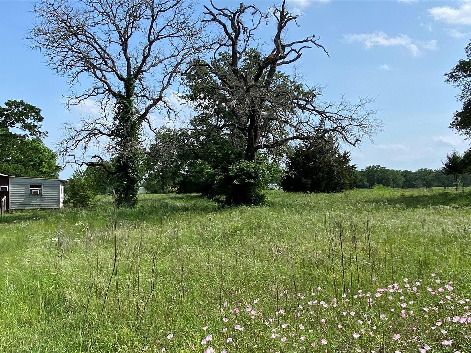 7077 County Road 461, Normangee, TX 77871 | Zillow