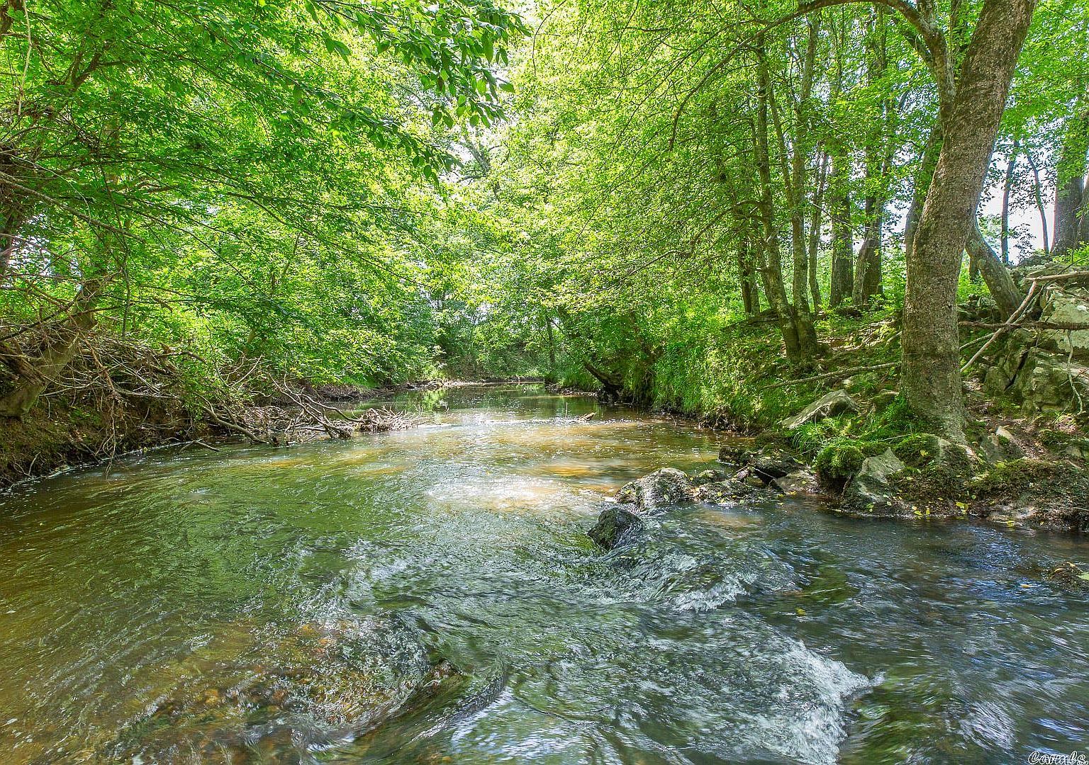 192 Polk Rd #22, Cove, AR 71937 | MLS #23014991 | Zillow