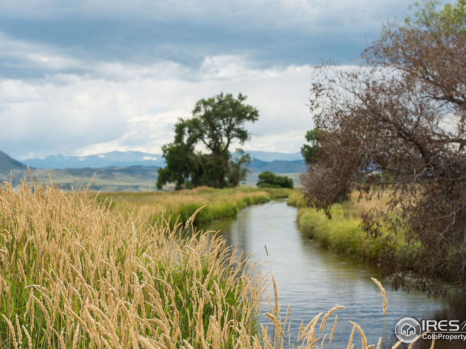 16011 Legend Way, Livermore, CO 80536 | Zillow